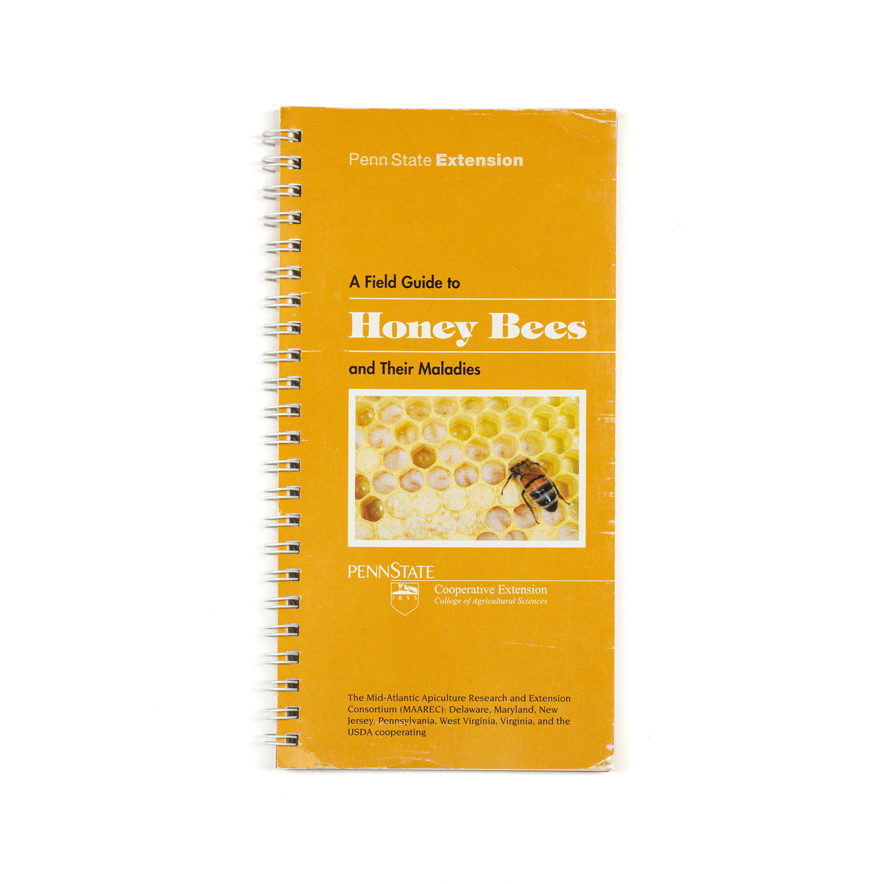 Field Guide to Honey Bees – Bee Maid Honey Online Store