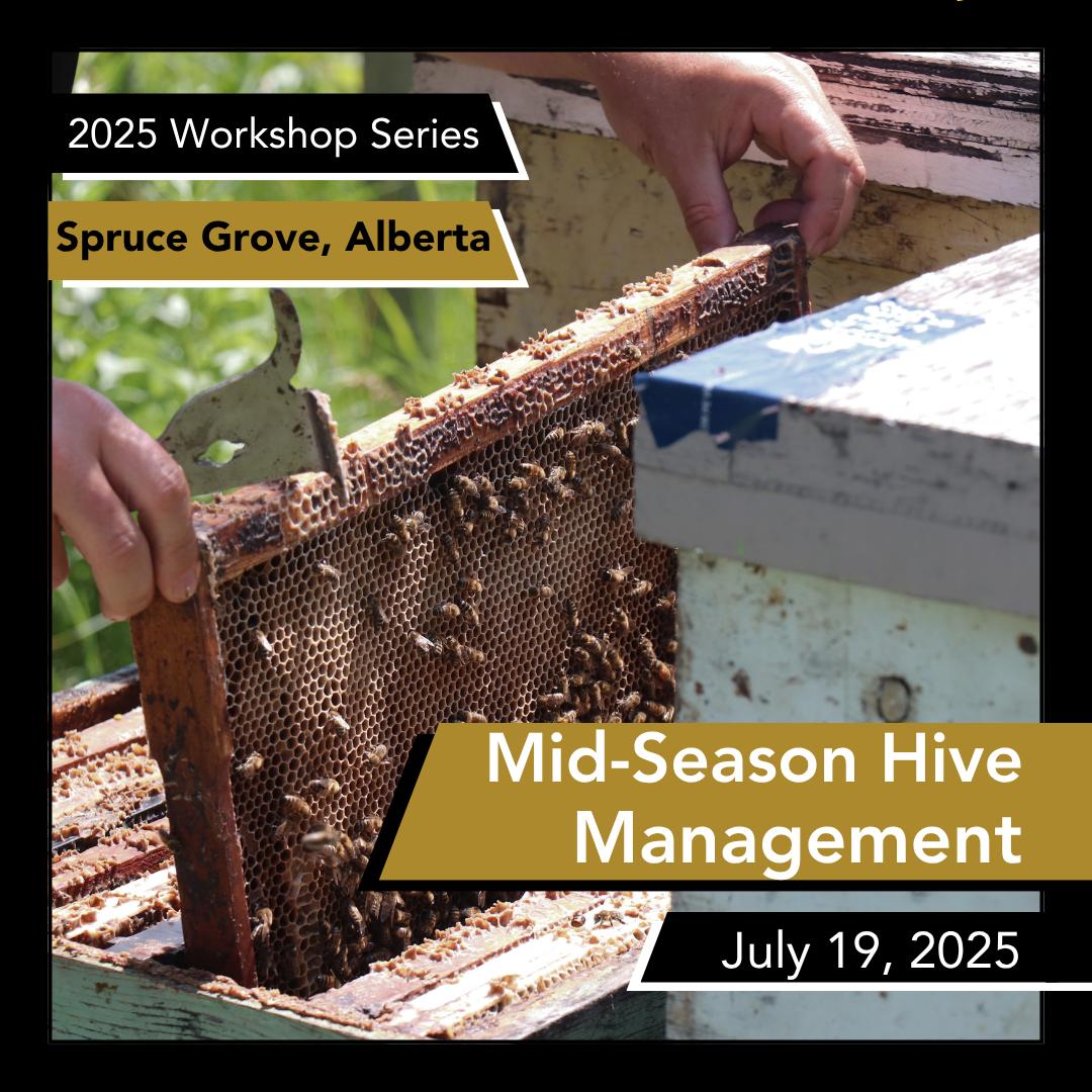 Workshops - Bee Maid Bee Supplies – Bee Maid Honey Online Store