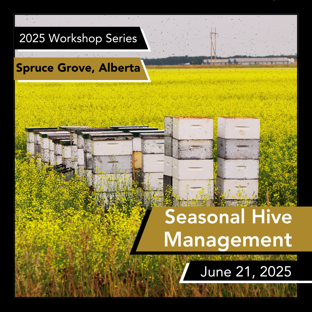 Workshops – Bee Maid Honey Online Store